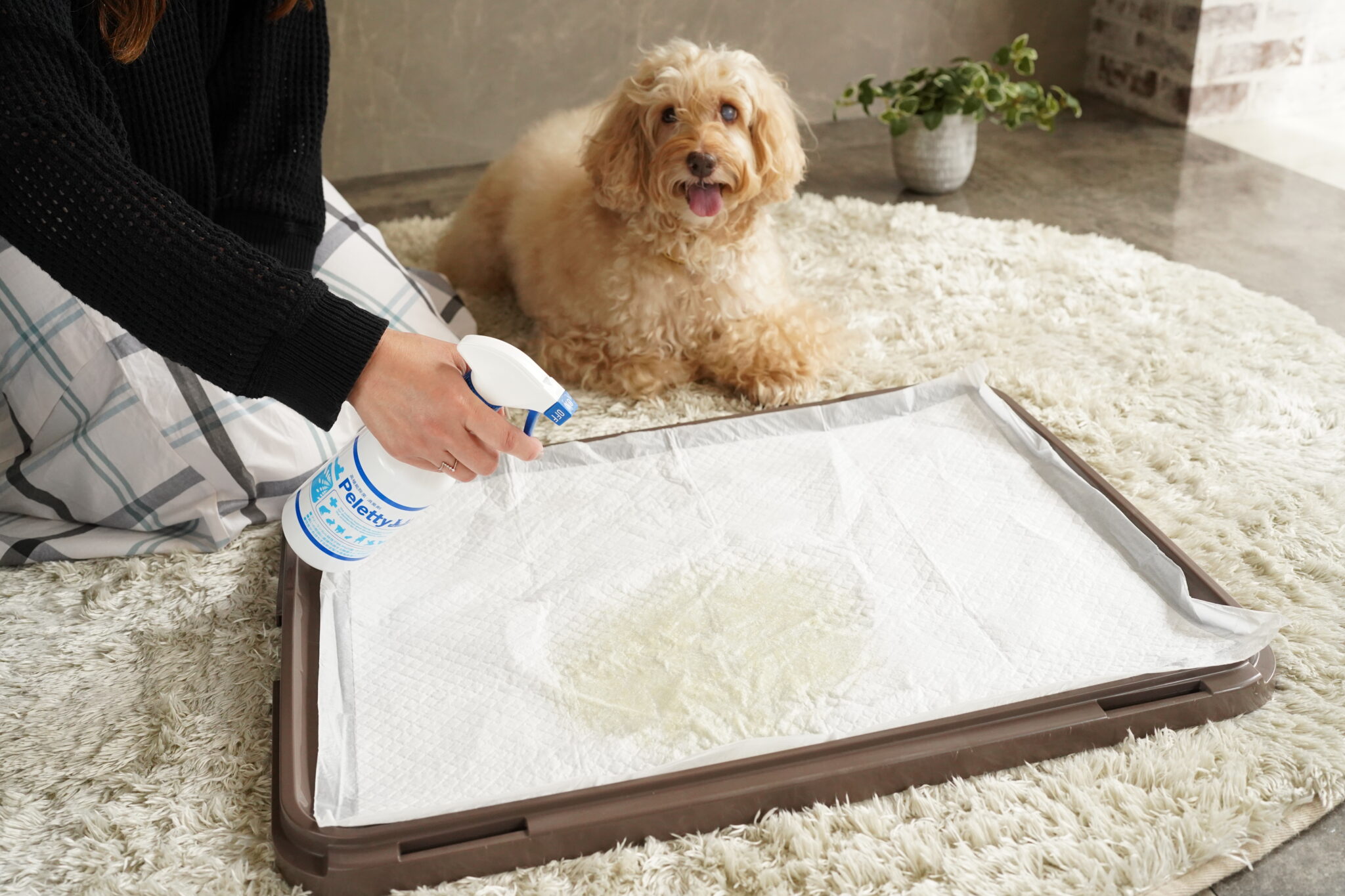 Peletty Series - Nrf2 Inc.