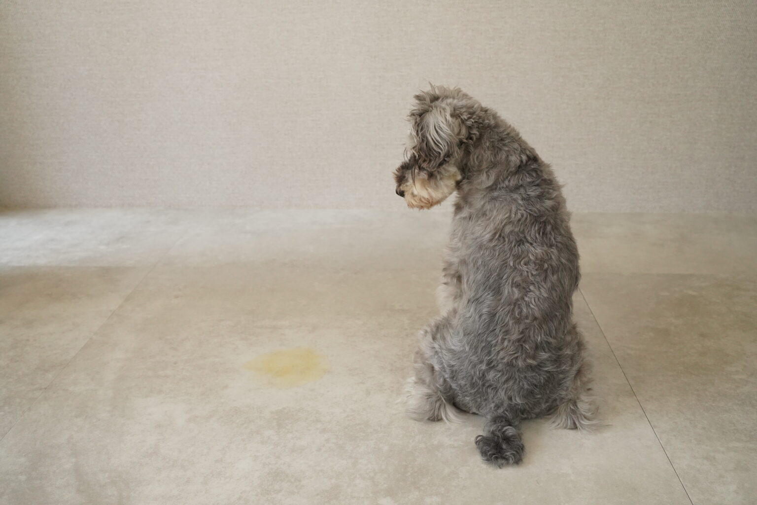 Peletty Series - Nrf2 Inc.